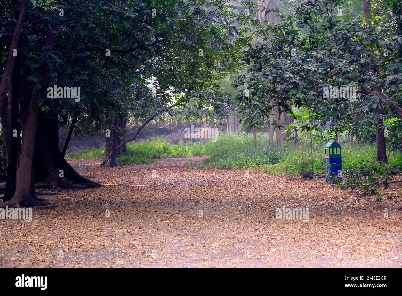 04 December 2022, Pune, India, Empress Botanical Garden, a green ...