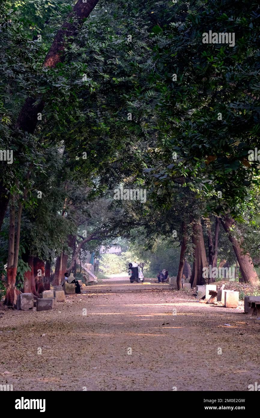 04 December 2022, Pune, India, Empress Botanical Garden, a green ...