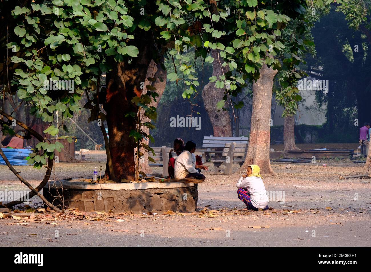 04 December 2022, Pune, India, Empress Botanical Garden, a green ...