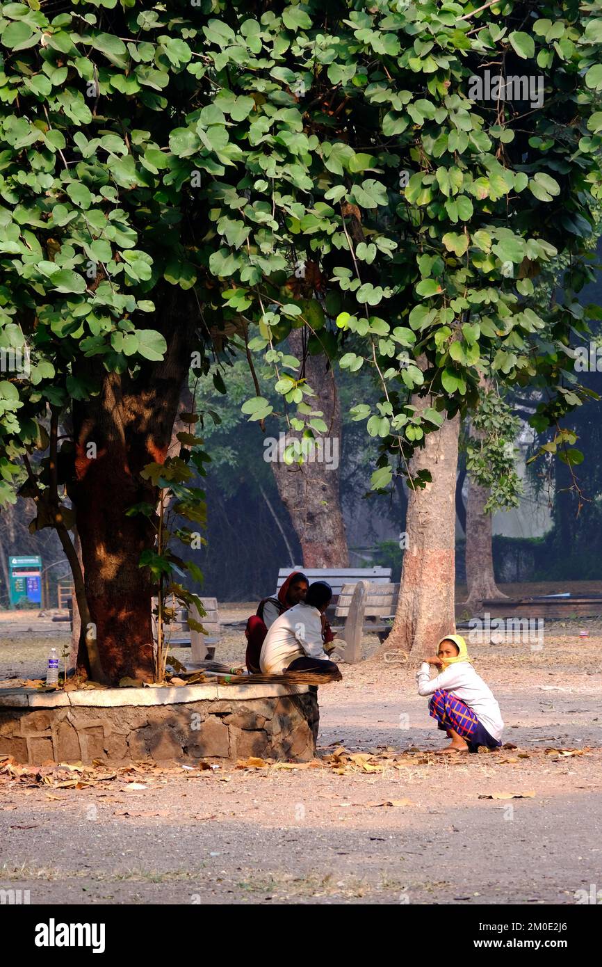 04 December 2022, Pune, India, Empress Botanical Garden, a green ...