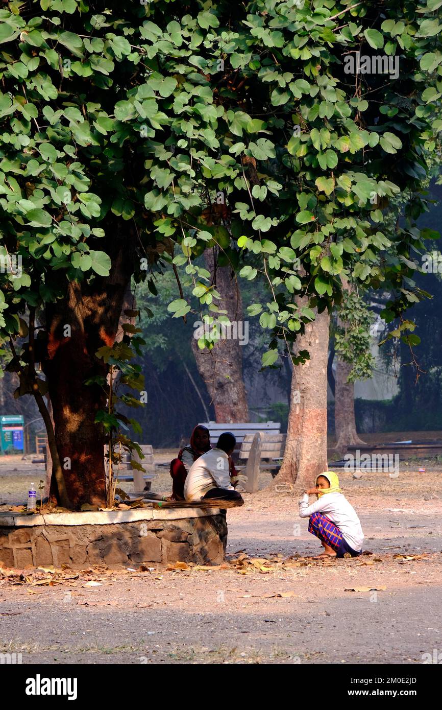 04 December 2022, Pune, India, Empress Botanical Garden, a green ...
