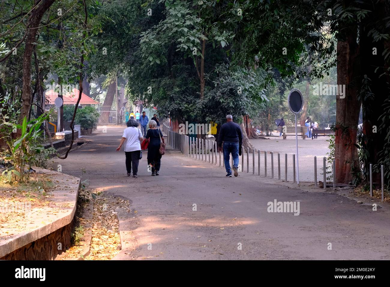 04 December 2022, Pune, India, Empress Botanical Garden, a green ...