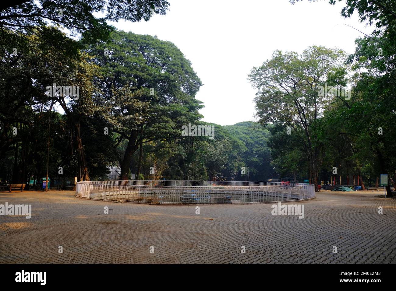 04 December 2022, Pune, India, Empress Botanical Garden, a green ...