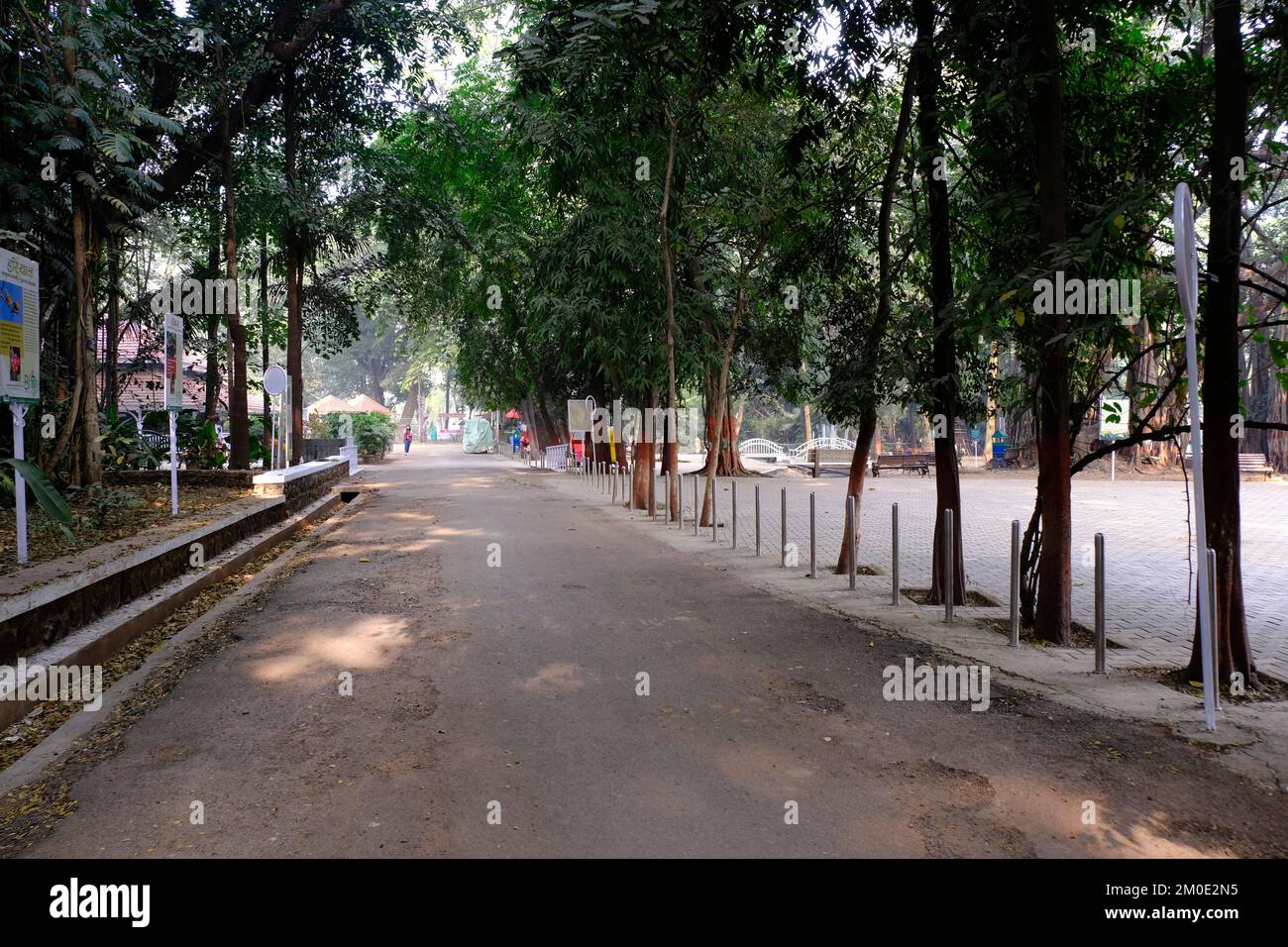 04 December 2022, Pune, India, Empress Botanical Garden, a green ...