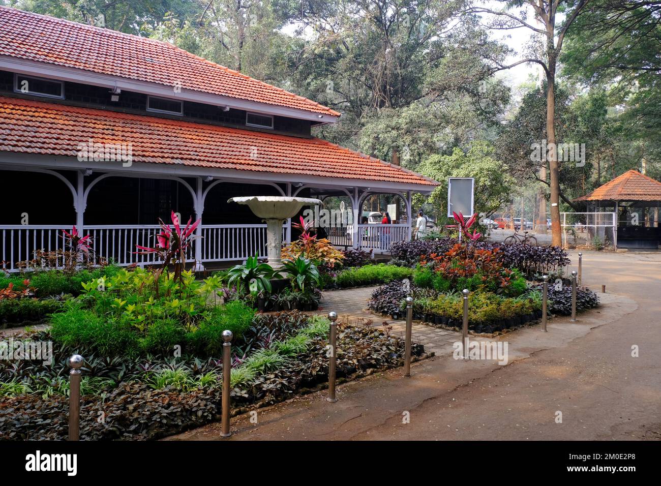 04 December 2022, Pune, India, Empress Botanical Garden, a green ...