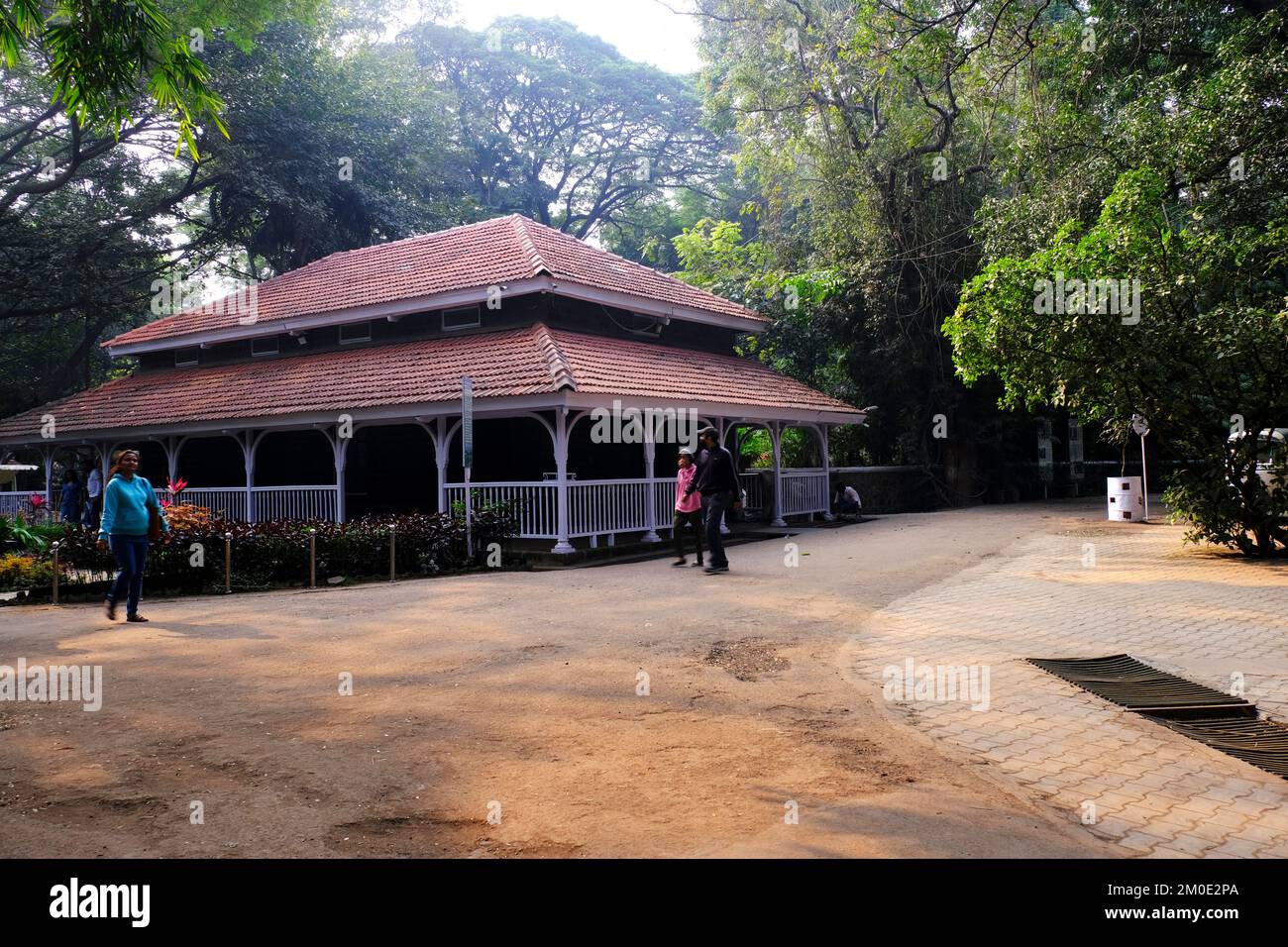 04 December 2022, Pune, India, Empress Botanical Garden, a green ...