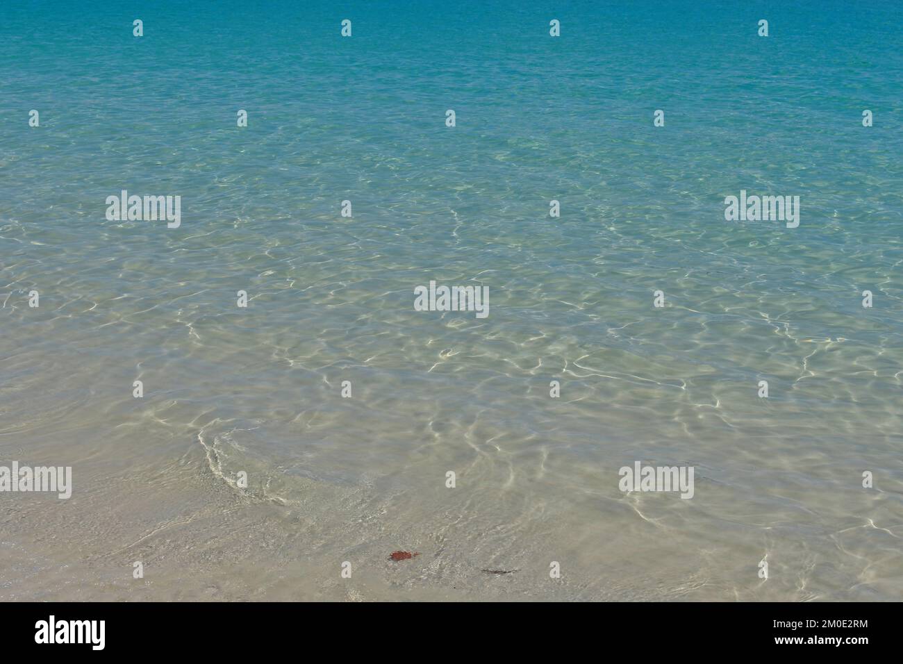 Crystal clear turquoise water on Hamilton Island, Australia Stock Photo ...