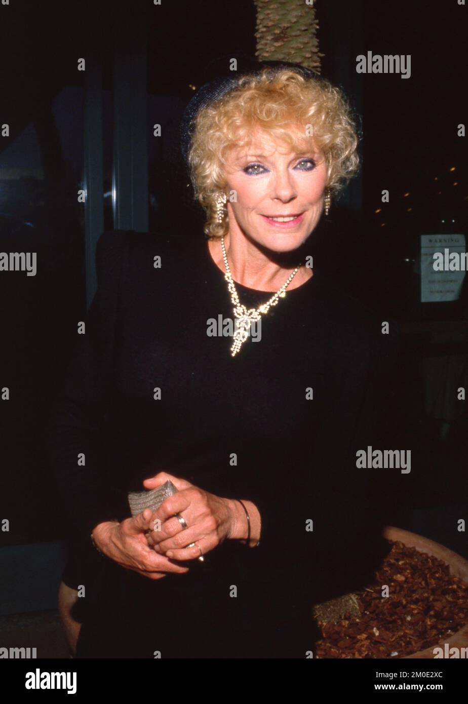 Elke Sommer Circa 1980's Credit: Ralph Dominguez/MediaPunch Stock Photo ...