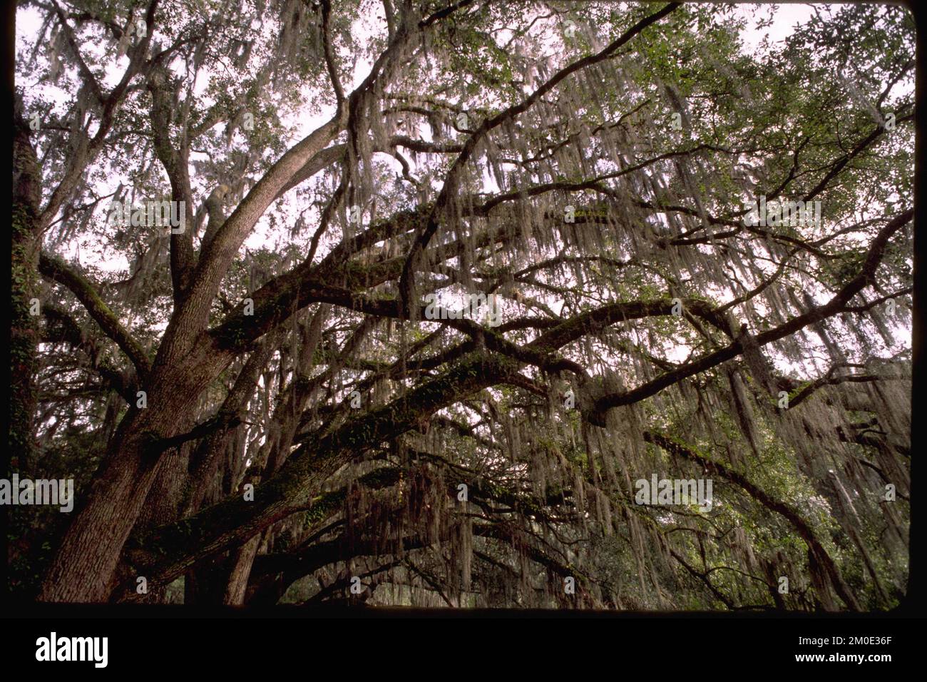 Criminal Investigation Division, Training Facility in Brunswick ...