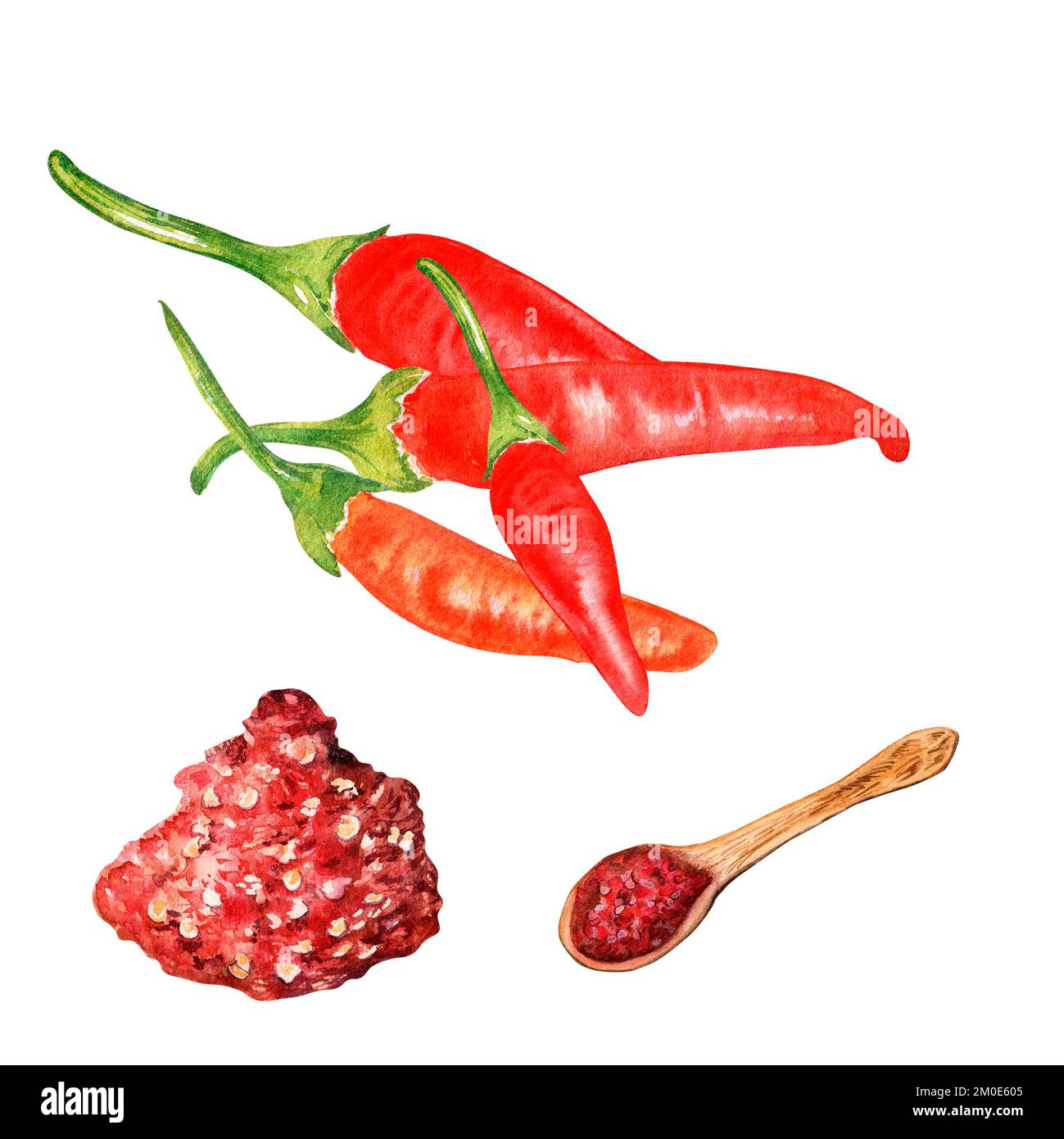 Composition of tabasco hot pepper watercolor illustration isolated on ...