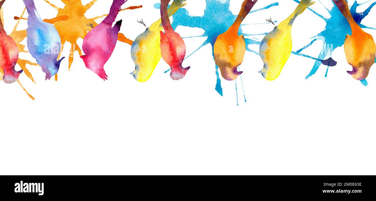 Colorful birds silhouette board watercolor illustration white ...
