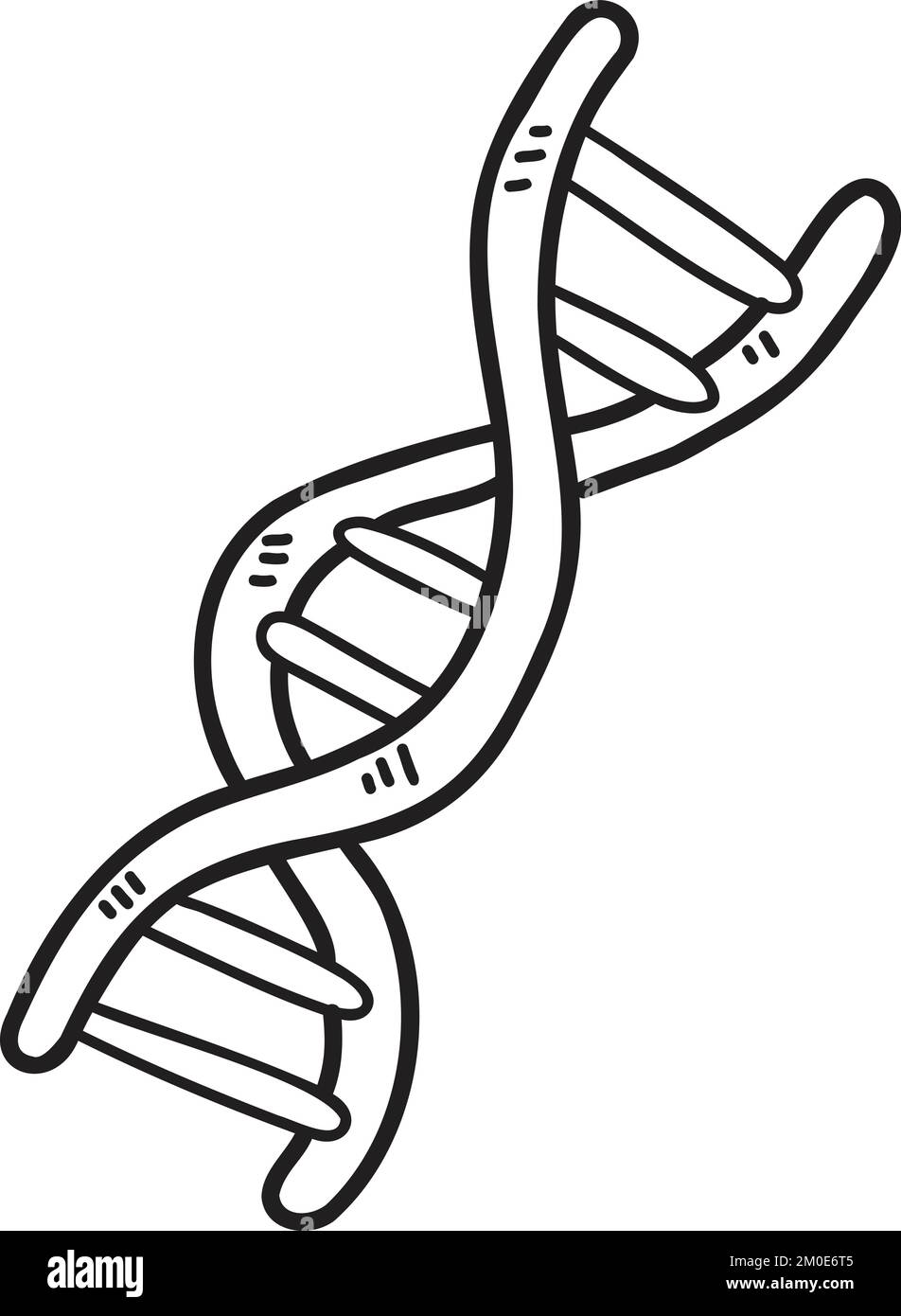 Hand Drawn genes and dna illustration isolated on background Stock ...