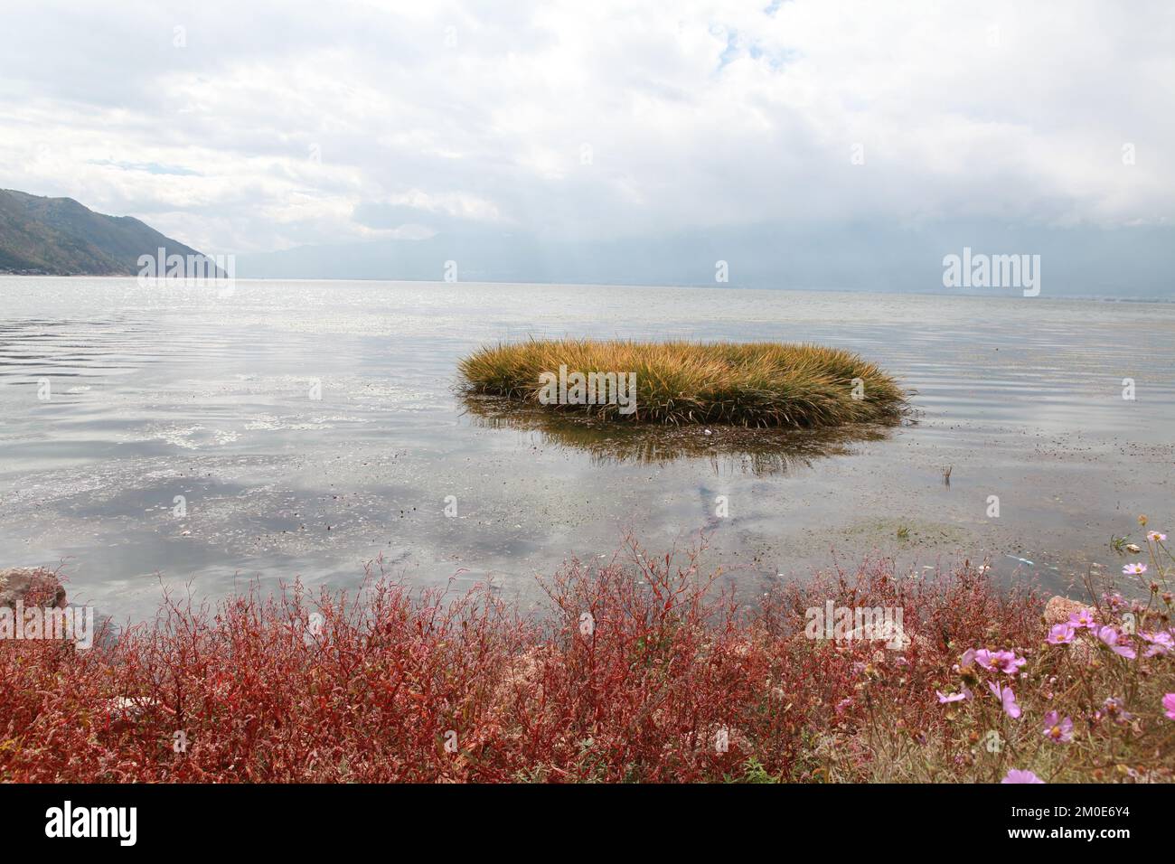 Erhai sea hi-res stock photography and images - Alamy