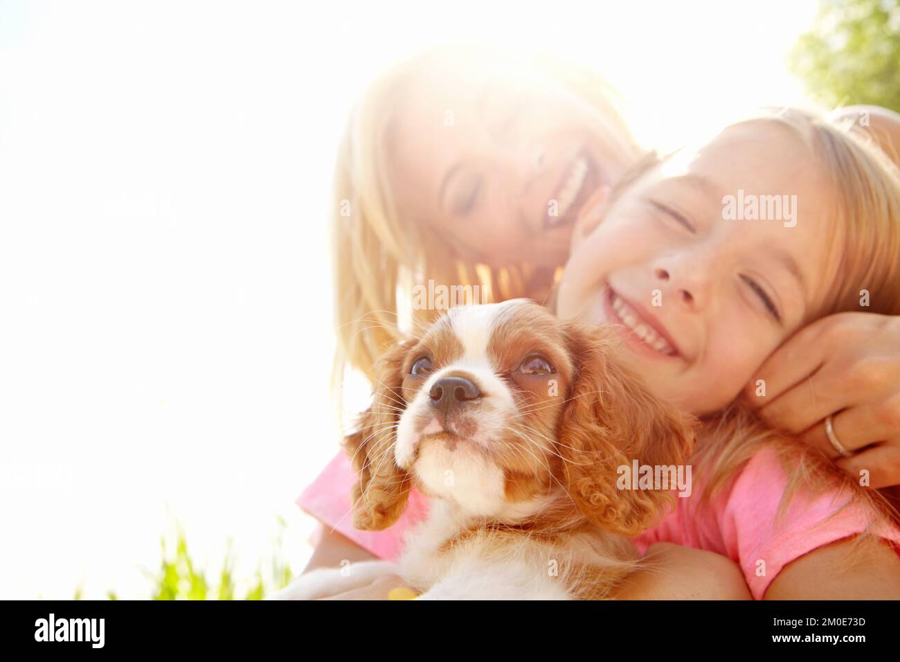 Our dog is part of our family. a mother, daughter and puppy enjoying a ...