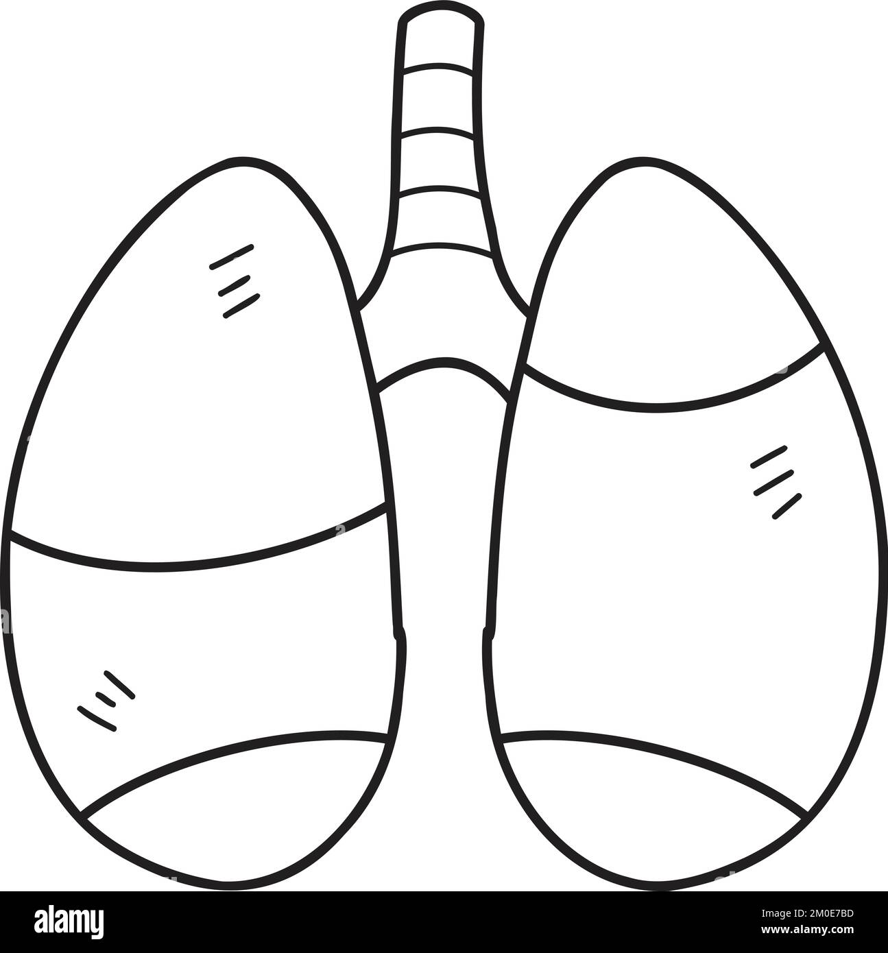 Hand Drawn lungs illustration isolated on background Stock Vector Image ...