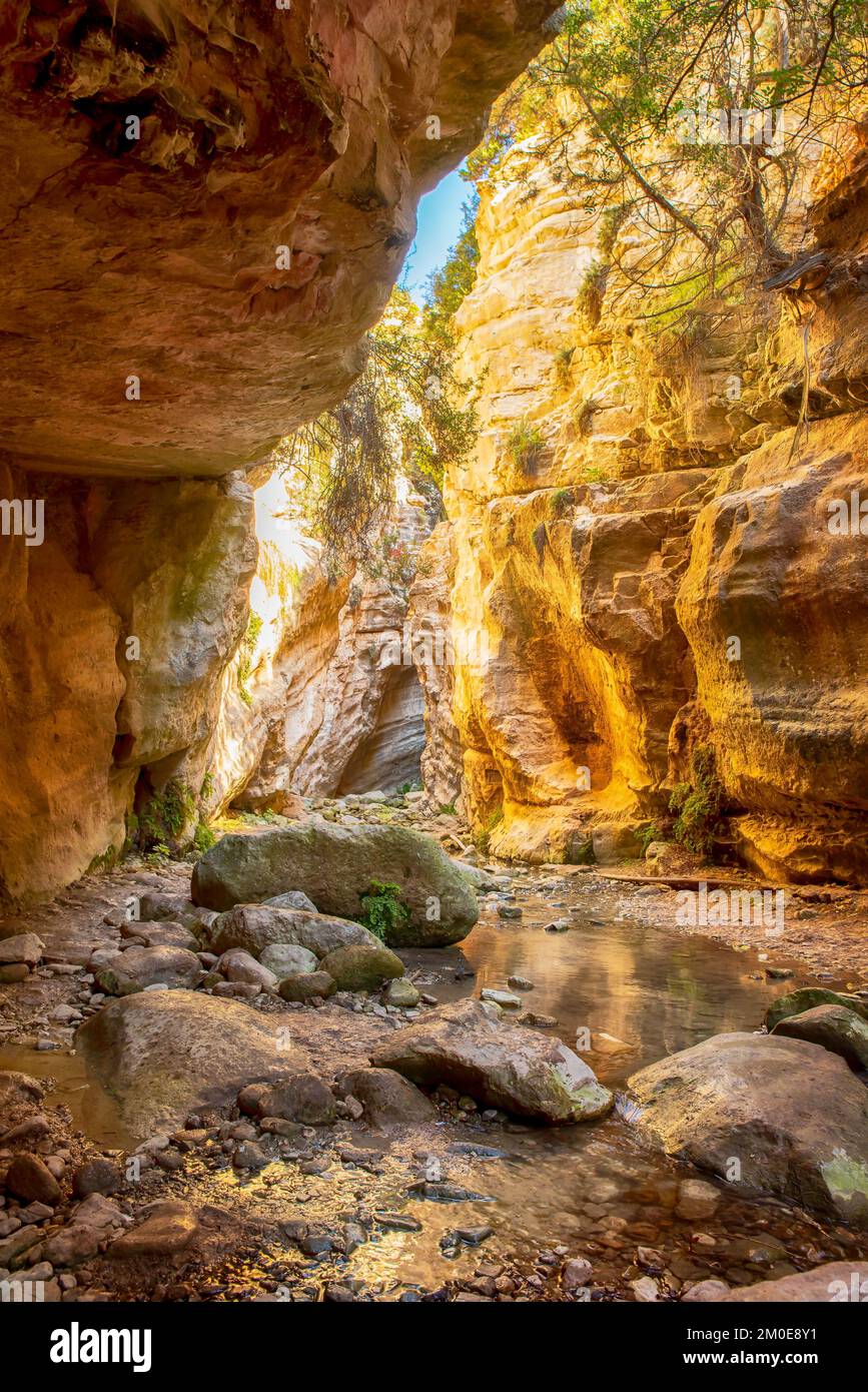 Landscape with Avakas gorge, famous canyon in Paphos, Cyprus Stock ...