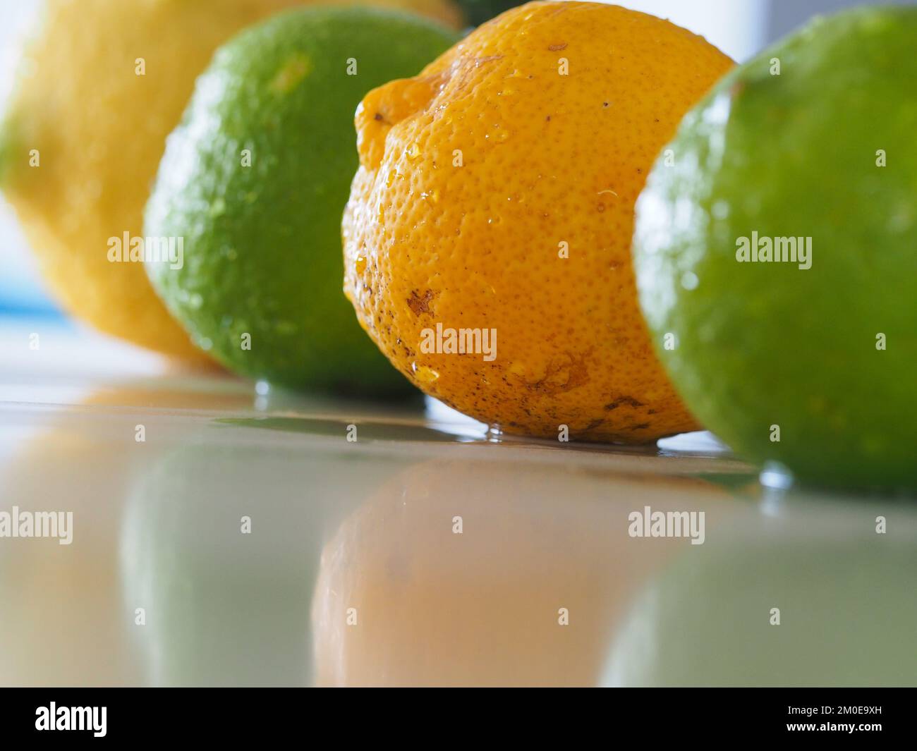 Food, Four fruits in a row, limes and lemons, citrus, reflected ...