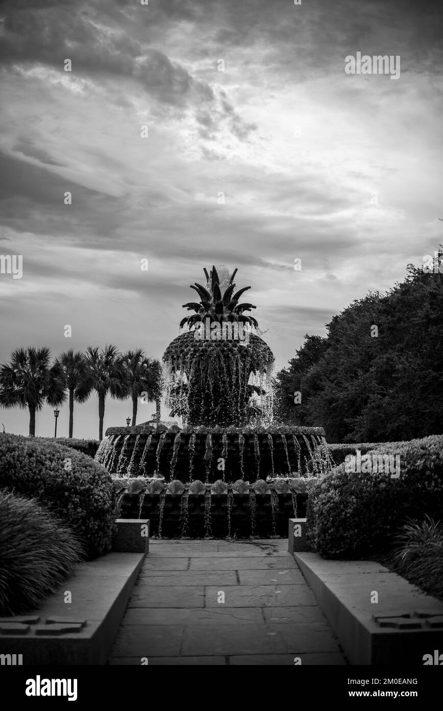 The vertical grayscale shot of a Pineapple Fountain in Joe Riley ...