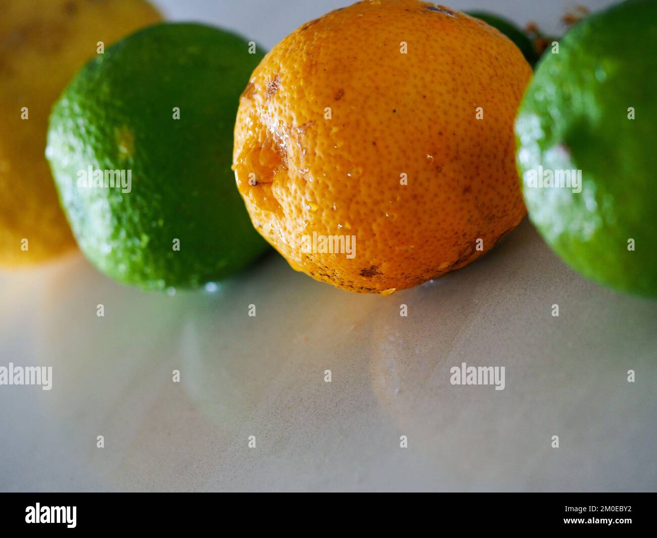 Line of lemons and limes, fruits, on and reflected in a white shiny ...