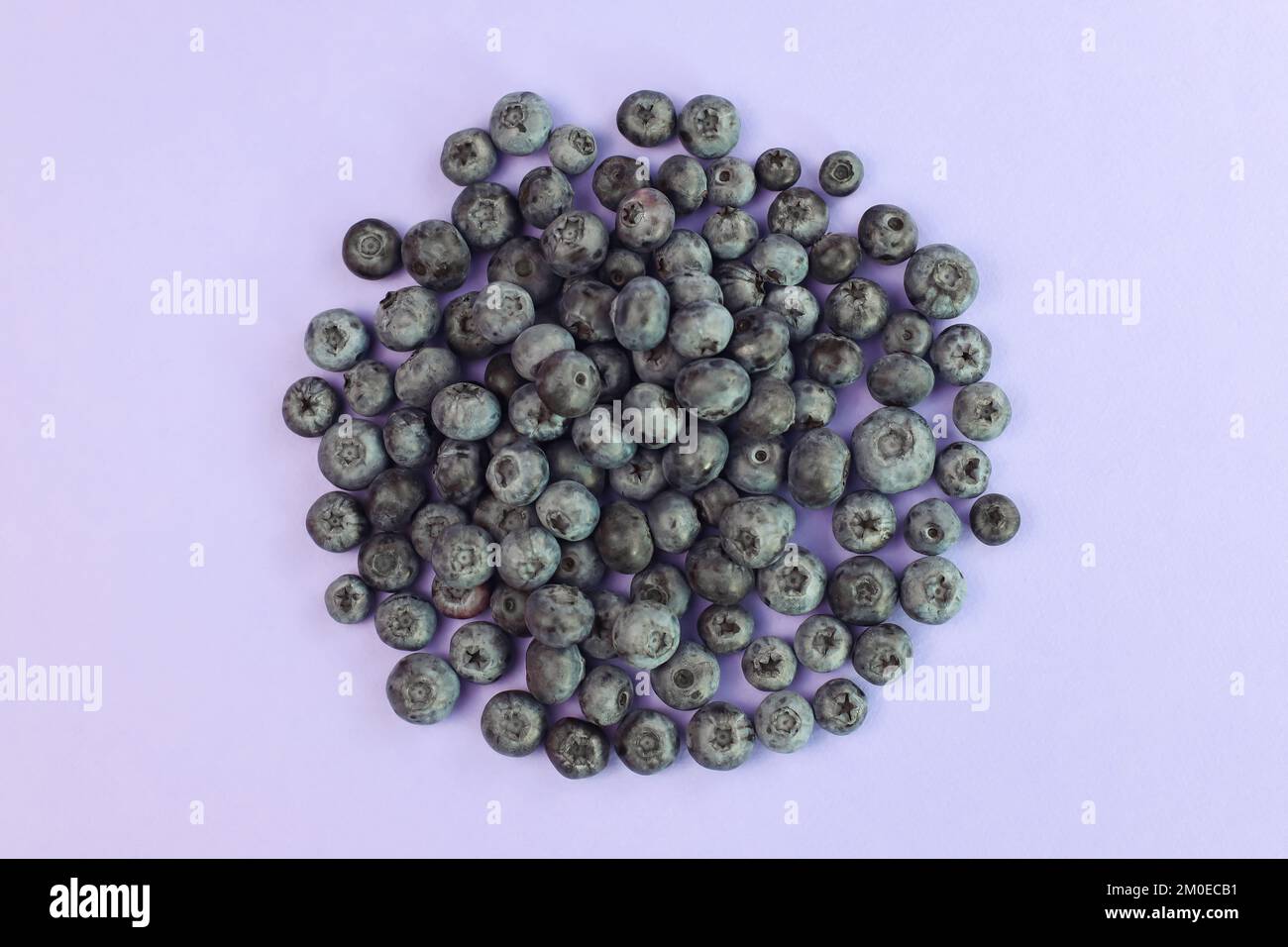 Blueberry a lot on purple background. Heap of berries. Cosmetics ...