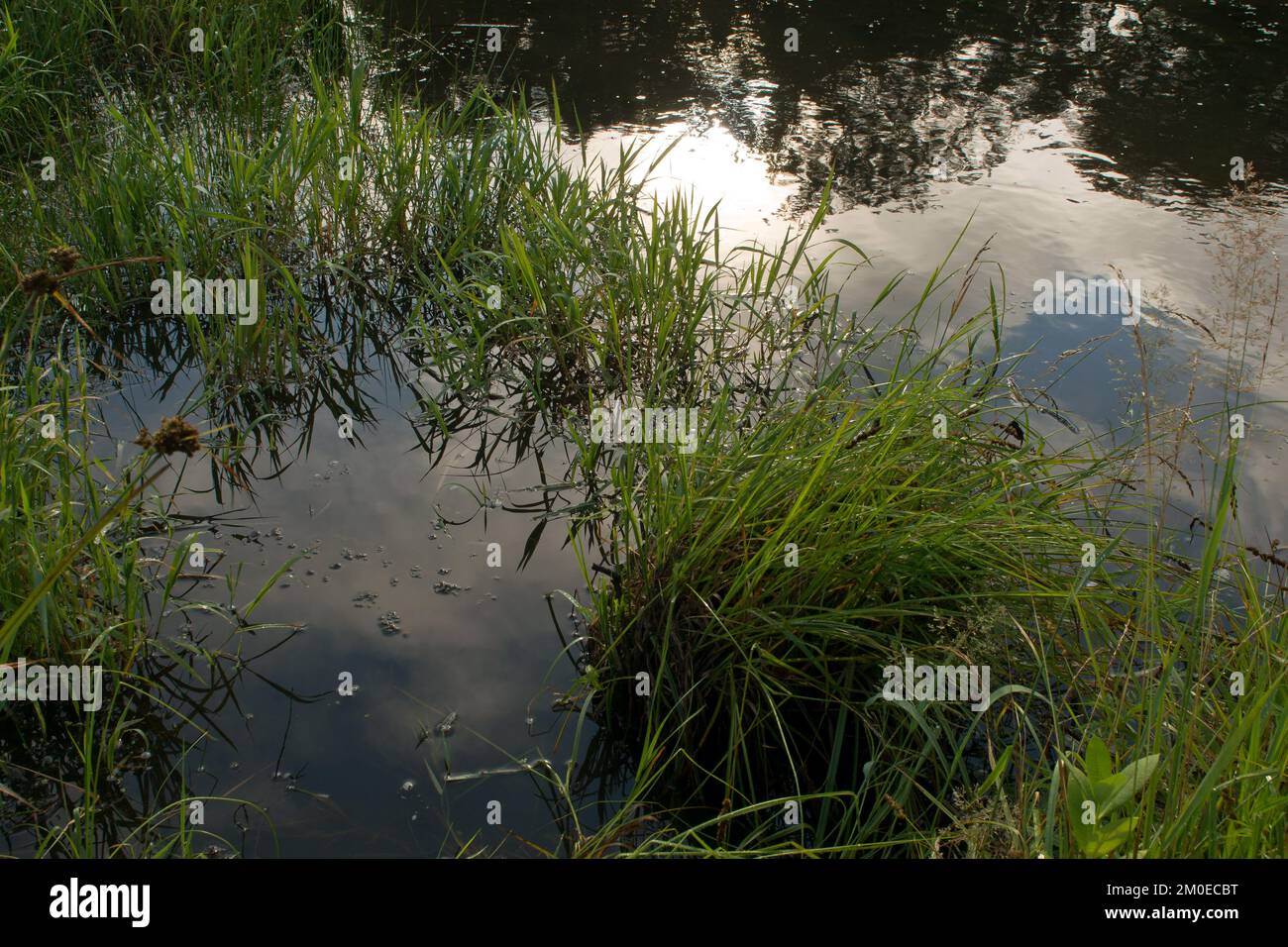 Office of the Administrator - Columbia Farm - landscape photographs ...
