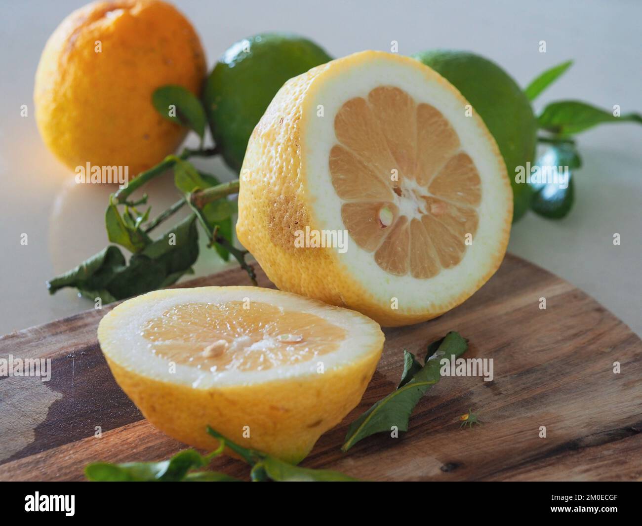 A Lemon cut in half and a limes, sliced citrus fruit, homegrown ...