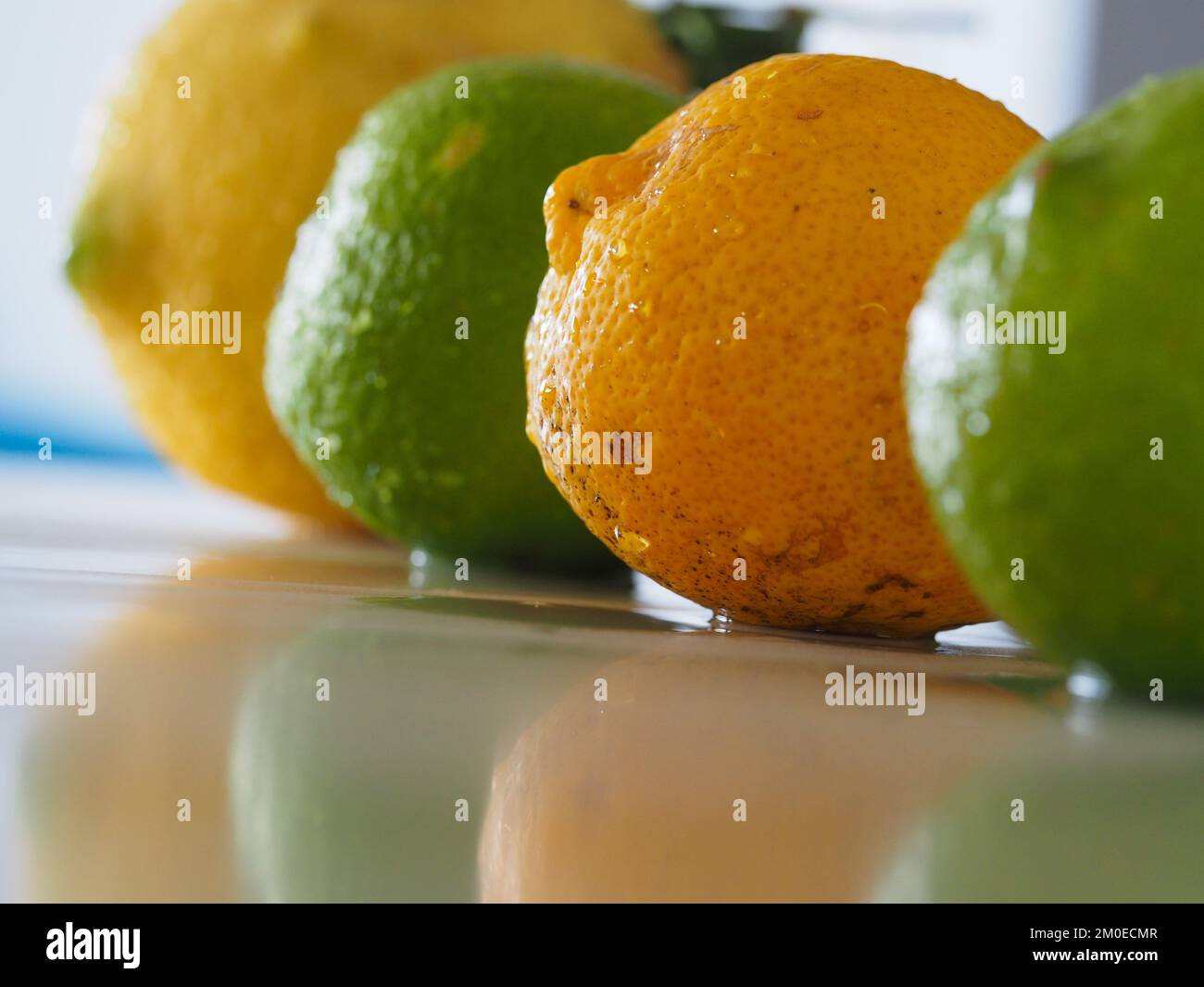 Line of lemons and limes, fruits, on and reflected in a white shiny benchtop surface ...