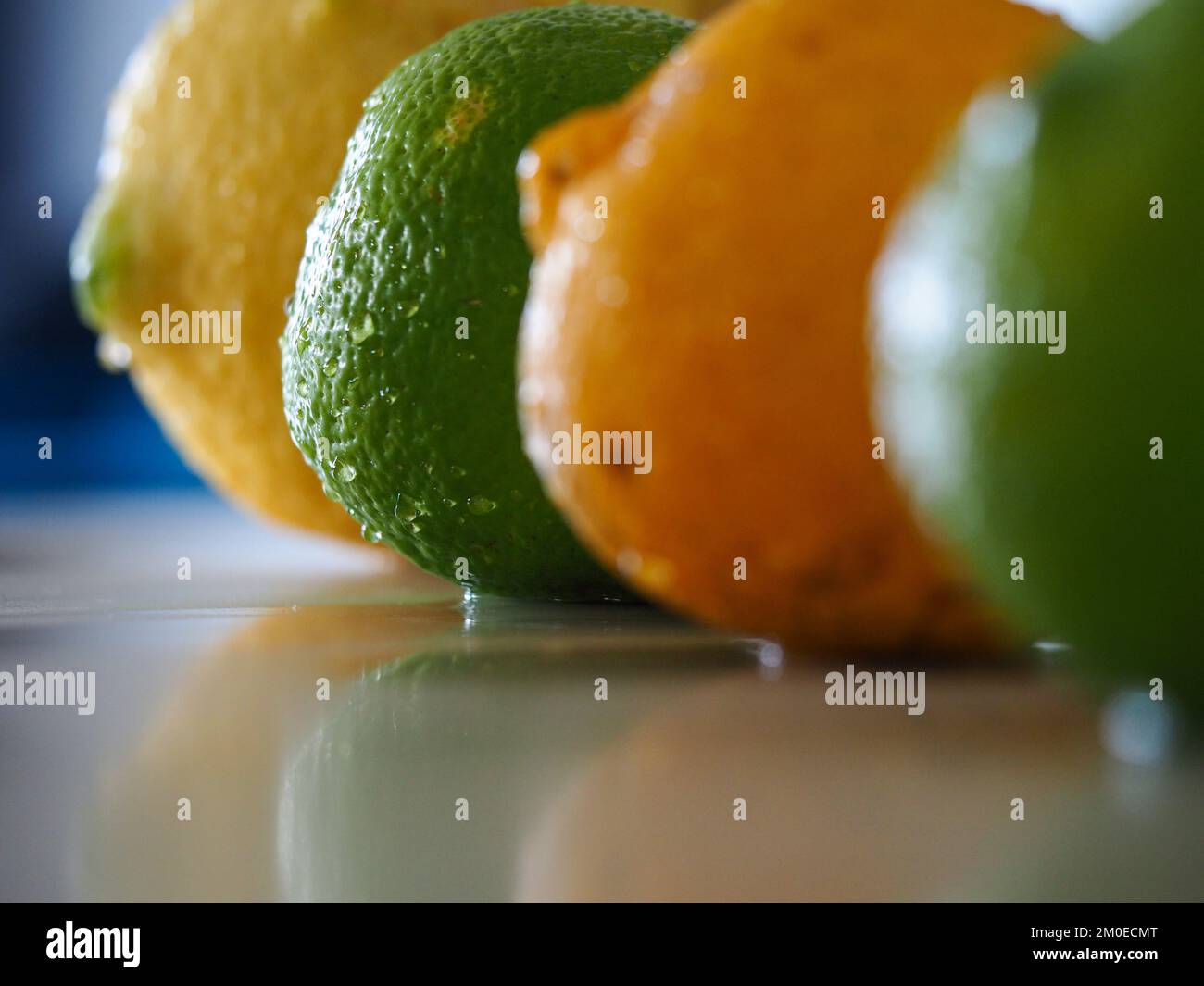 Line of lemons and limes, fruits, on and reflected in a white shiny ...