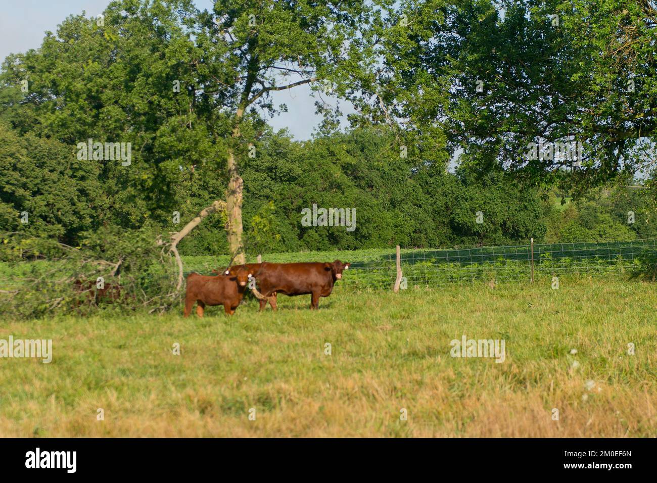 Office of the Administrator - Columbia Farm - landscape photographs ...