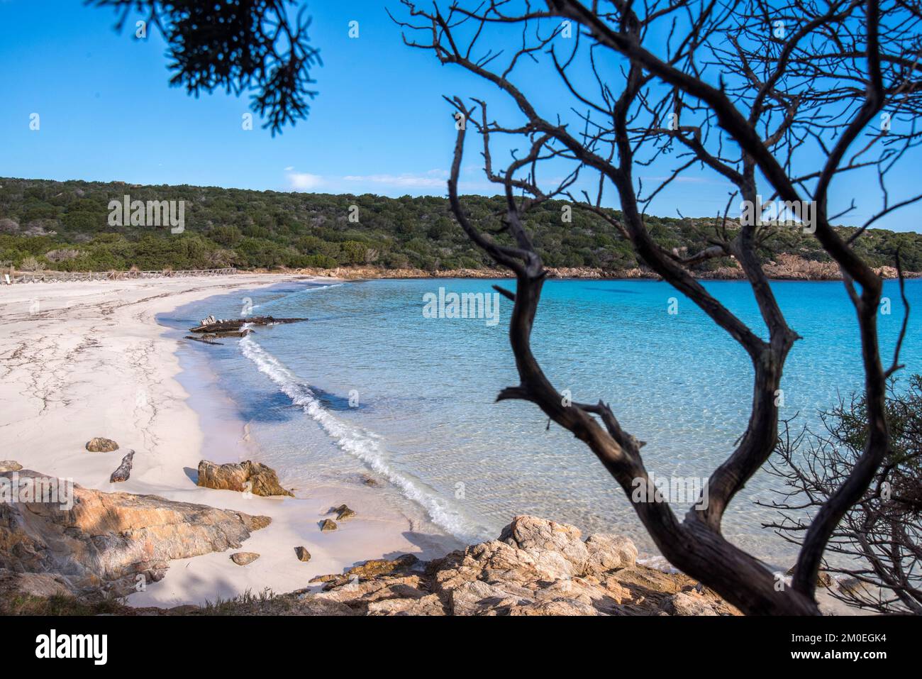 Sardegna, Arcipelago di La Maddalena, Caprera Stock Photo - Alamy