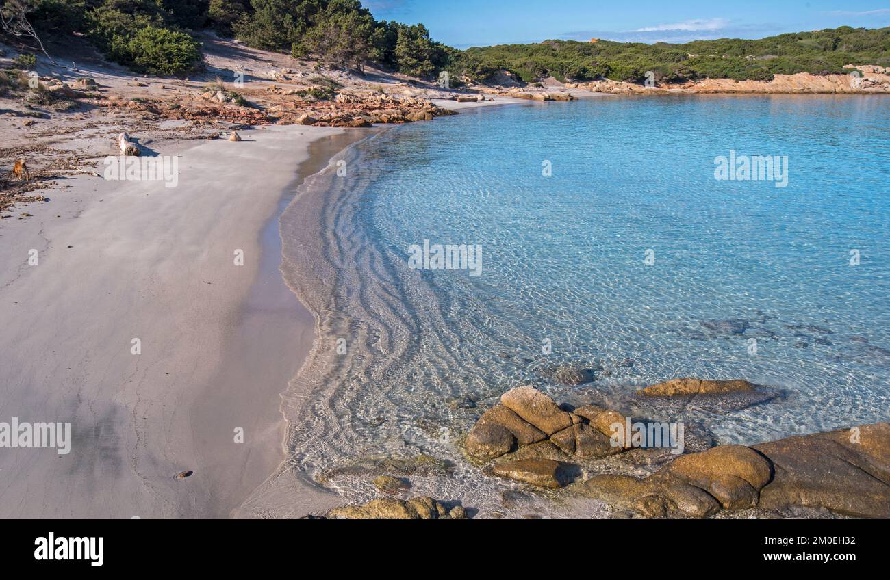 Sardegna, Arcipelago di La Maddalena, Caprera Stock Photo - Alamy