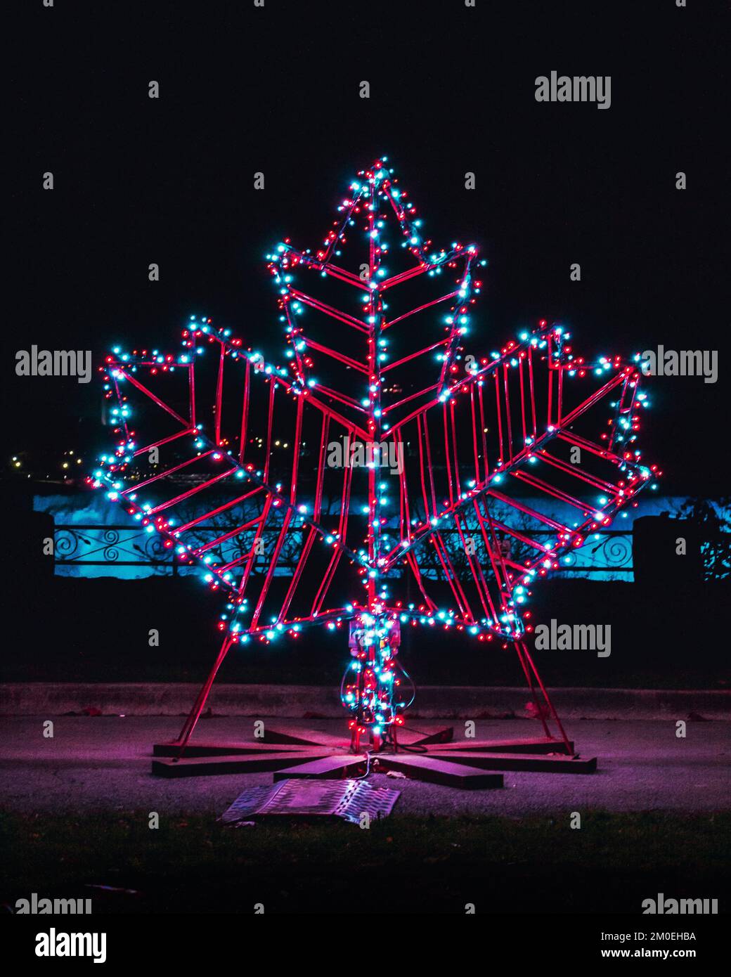 The vertical view of an illuminated maple leaf - The symbol of Canada ...