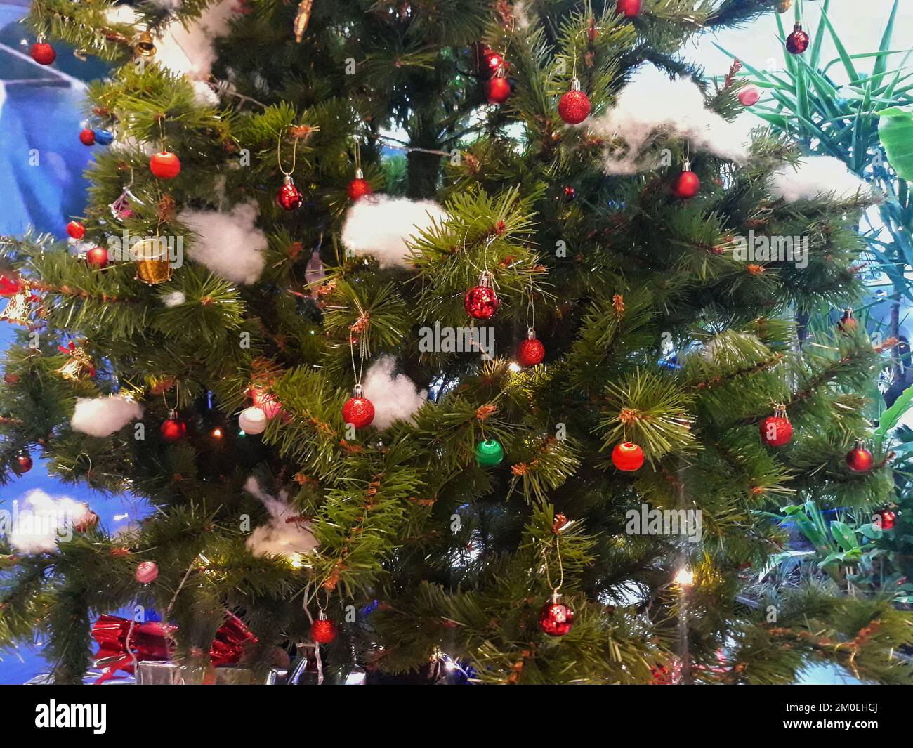 Close up concept copy space Pine tree decoration with snow and lights ...
