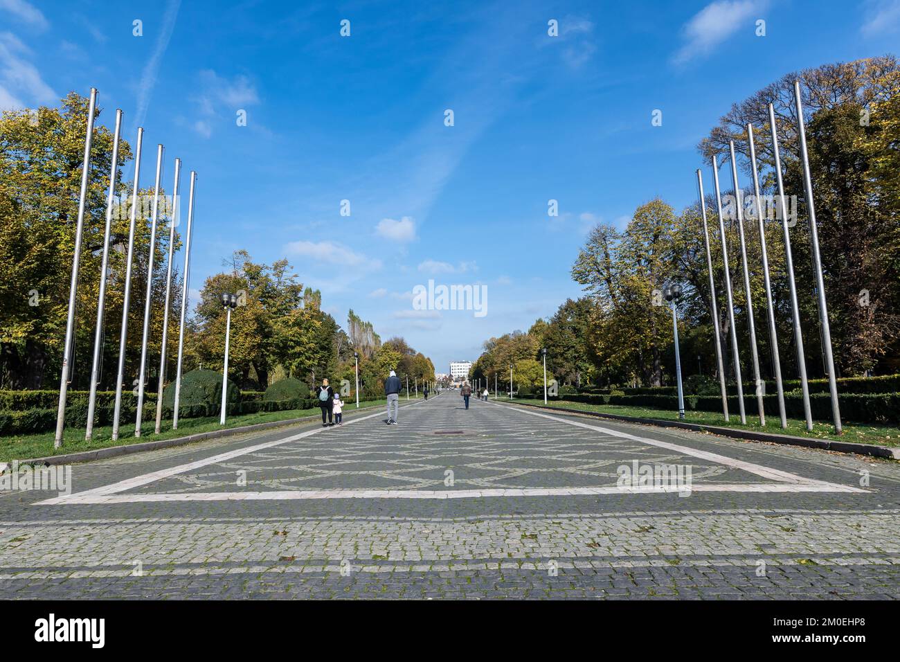 Landscape with the main alley surrounded by green, yellow, orange and ...