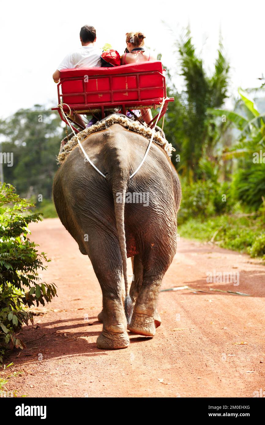 Man and woman riding elephant hi-res stock photography and images - Alamy