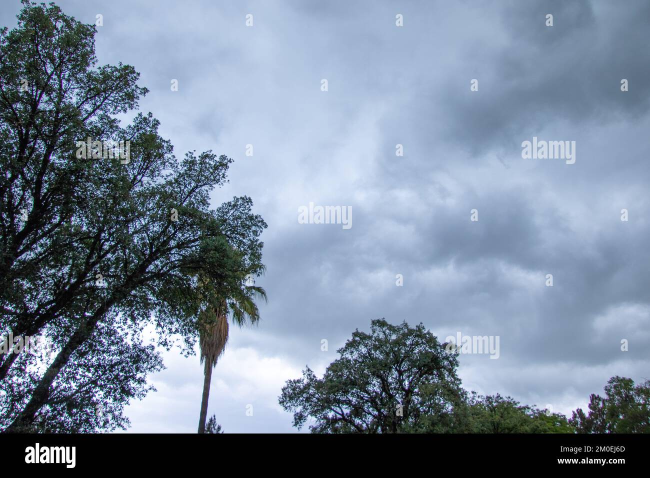Summer 2022 stormy weather over the Highveld region in Gauteng province ...