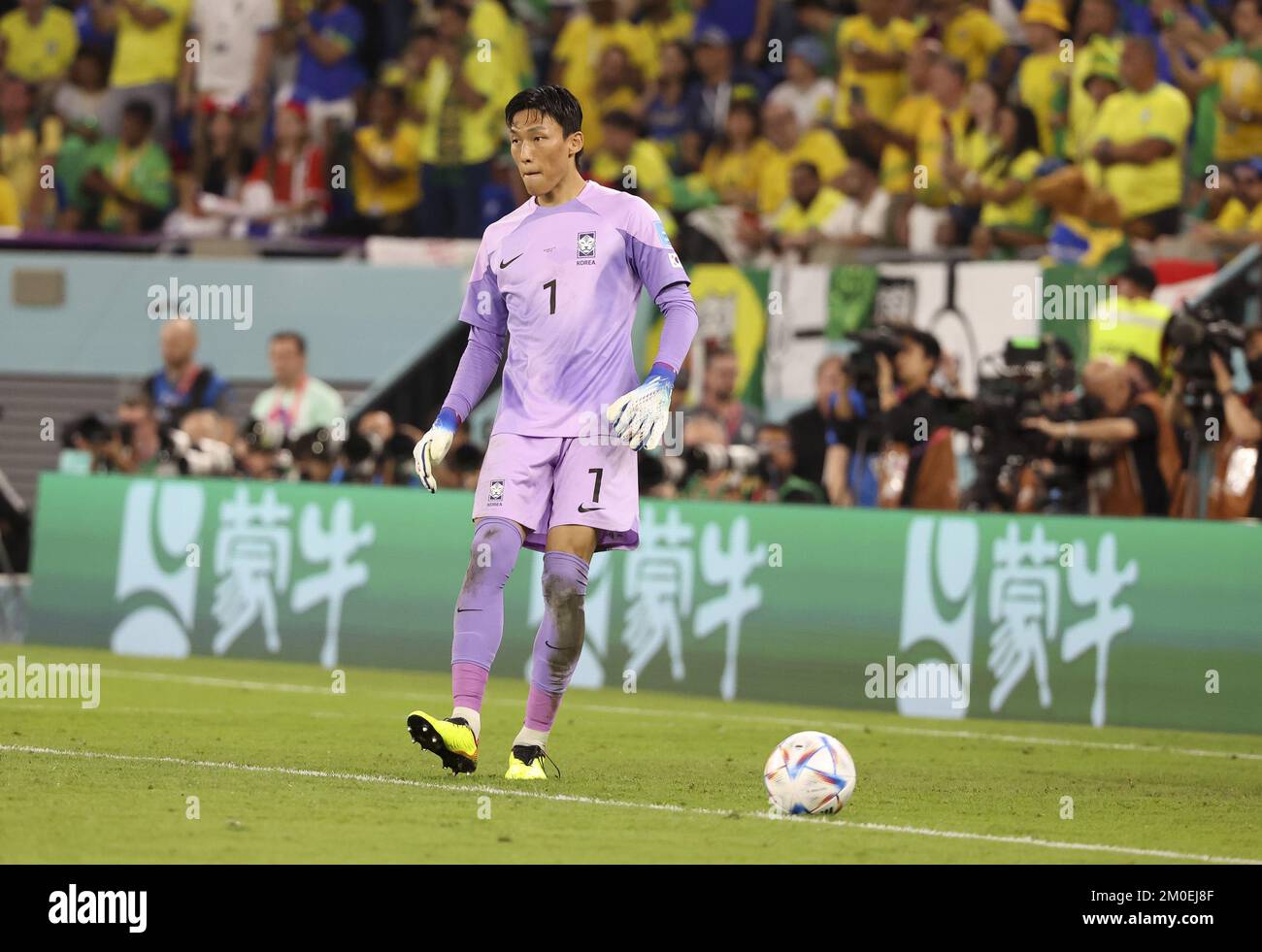 South Korea goalkeeper Kim Seung-Gyu during the FIFA World Cup 2022 ...