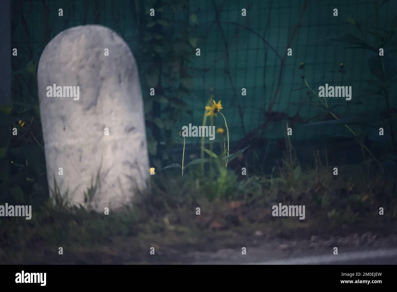 Pylon leaf hi-res stock photography and images - Alamy