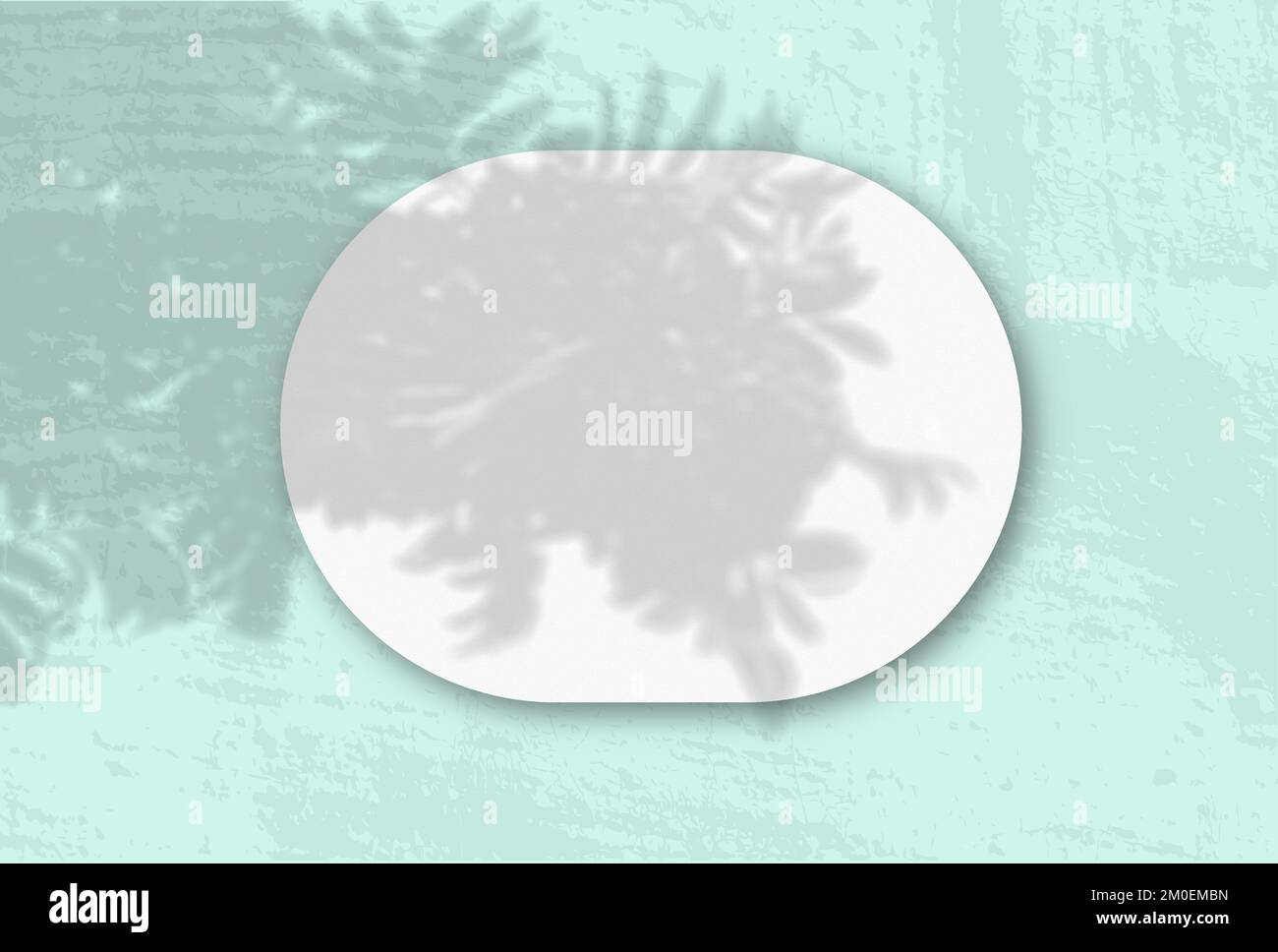 A horizontal oval sheet of white textured paper on the green wall ...