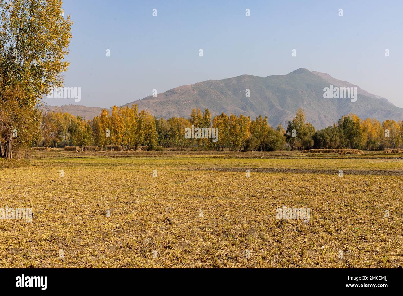 Empty fields hi-res stock photography and images - Alamy