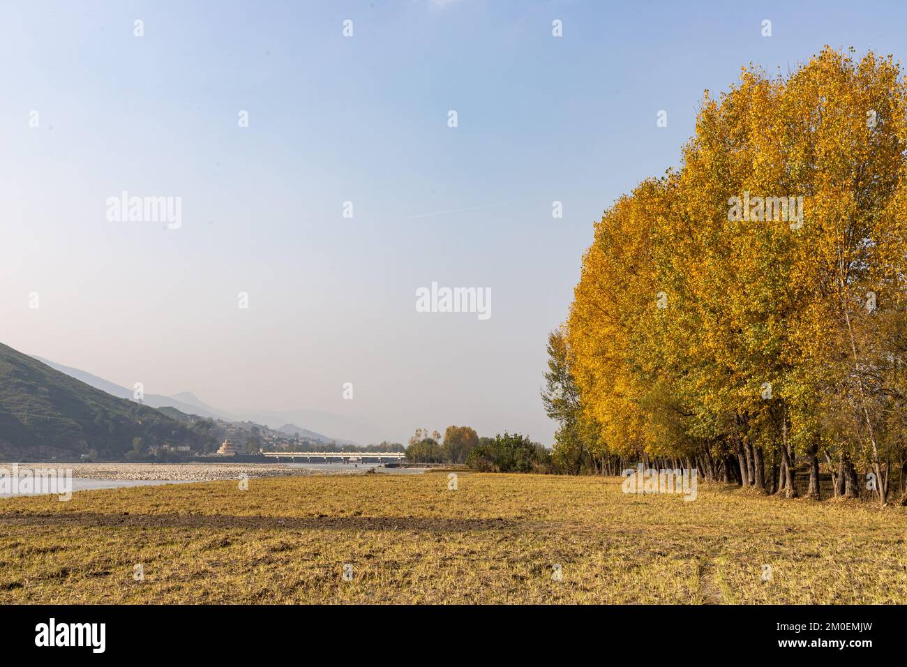 Autumn golden foliage in swat valley of Pakistan Stock Photo - Alamy