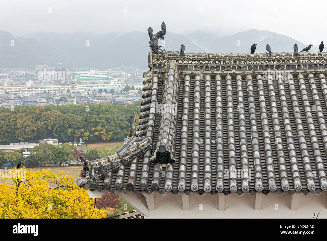 Himeji, Japan. Aerial view of the curved gables and rooftop tiles of ...