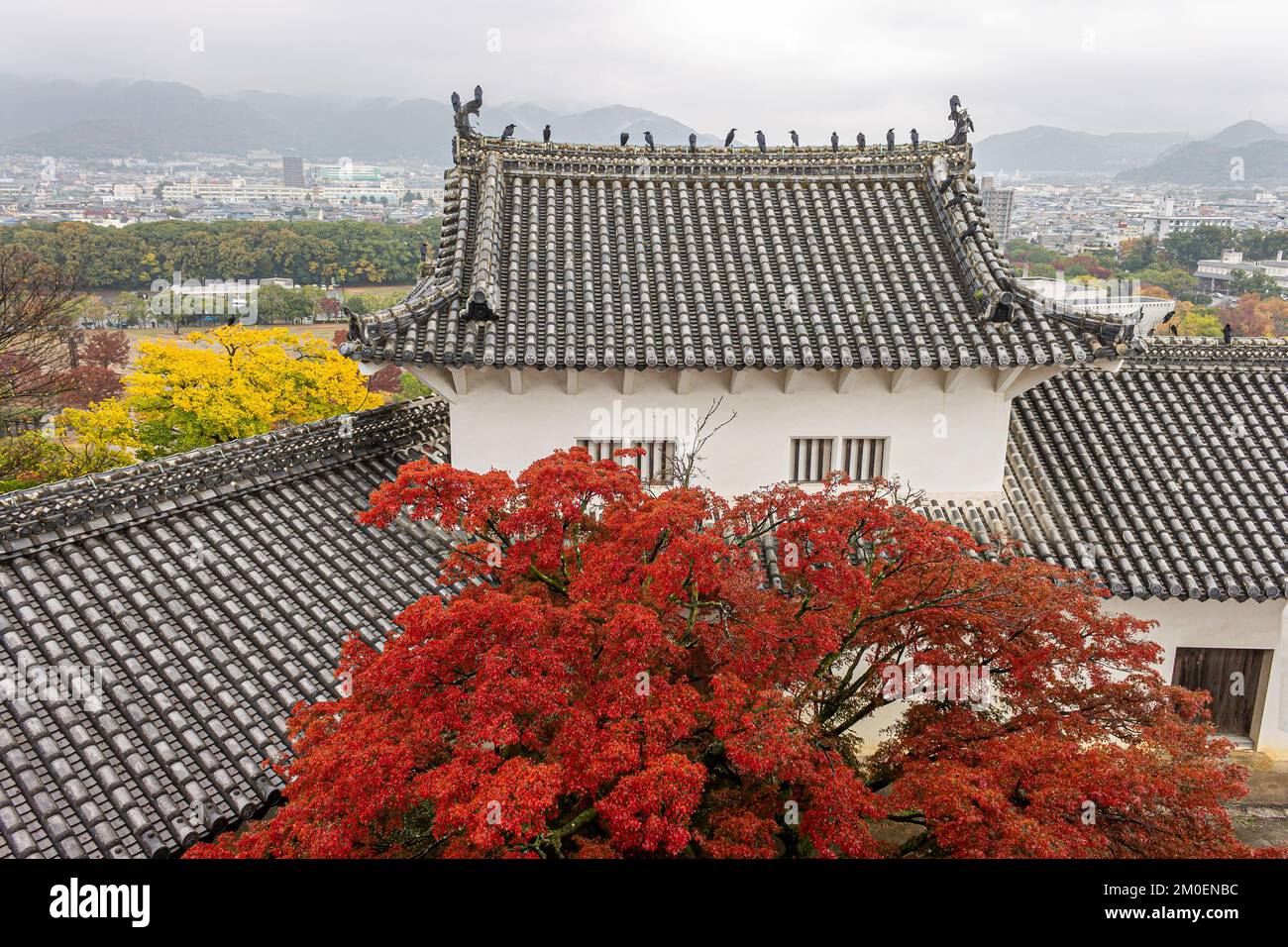 Himeji, Japan. Aerial view of the curved gables and rooftop tiles of ...