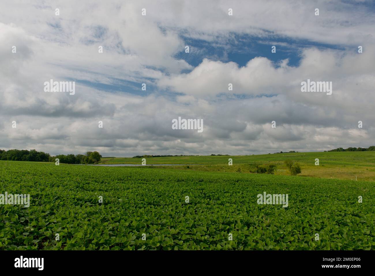Office of the Administrator - Columbia Farm - landscape photographs ...
