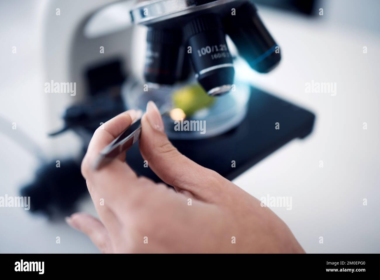 Science, scientist hand with tweezers and microscope with test sample ...