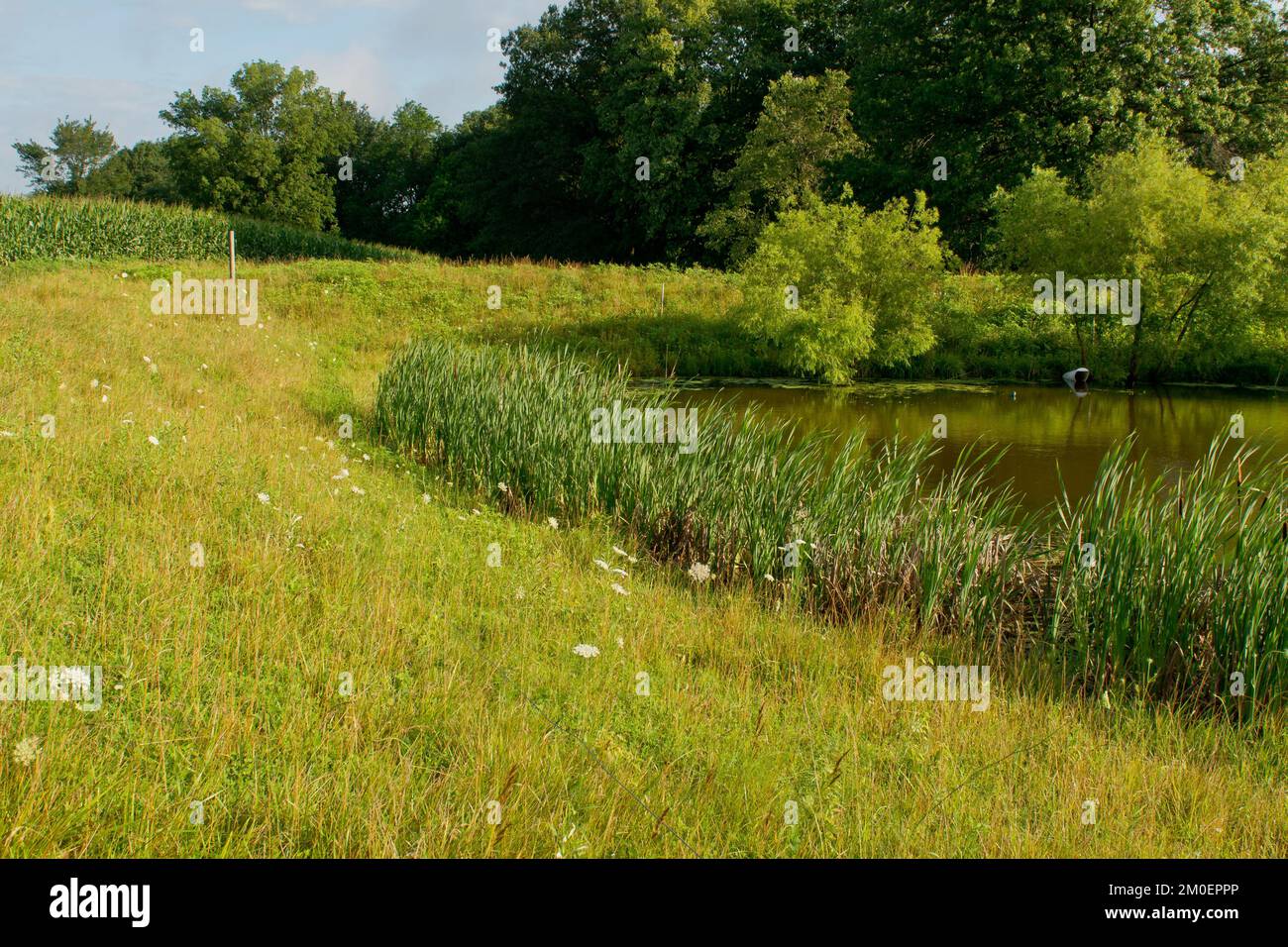 Office of the Administrator - Columbia Farm - landscape photographs ...
