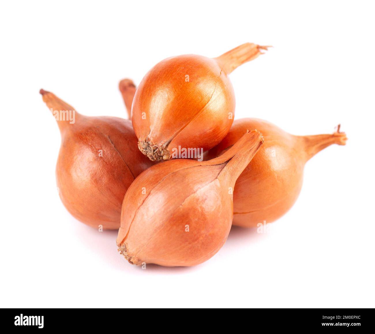 Brown mini onions isolated on a white background. Raw onion bulbs, for ...