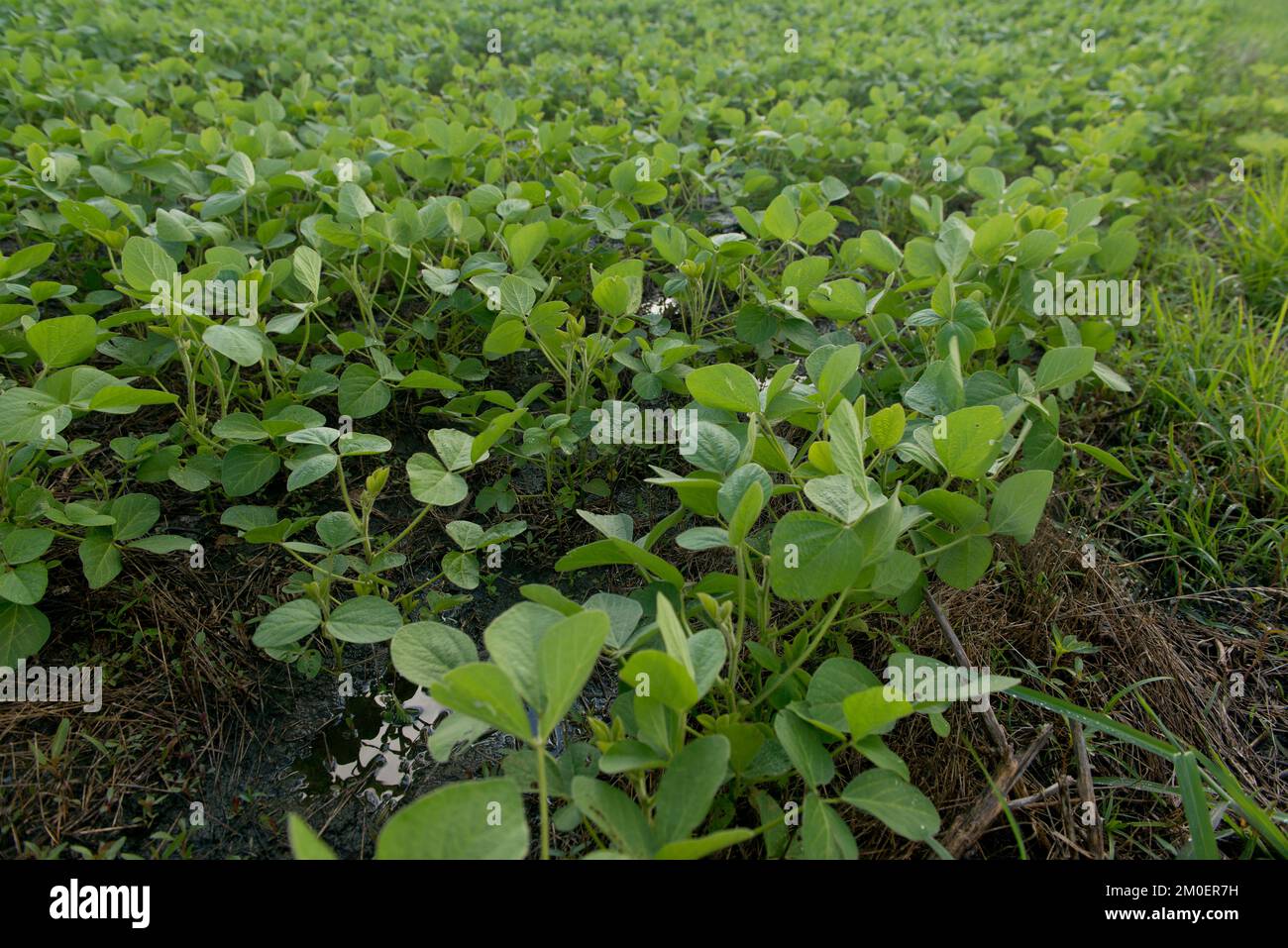 Office of the Administrator - Columbia Farm - landscape photographs ...
