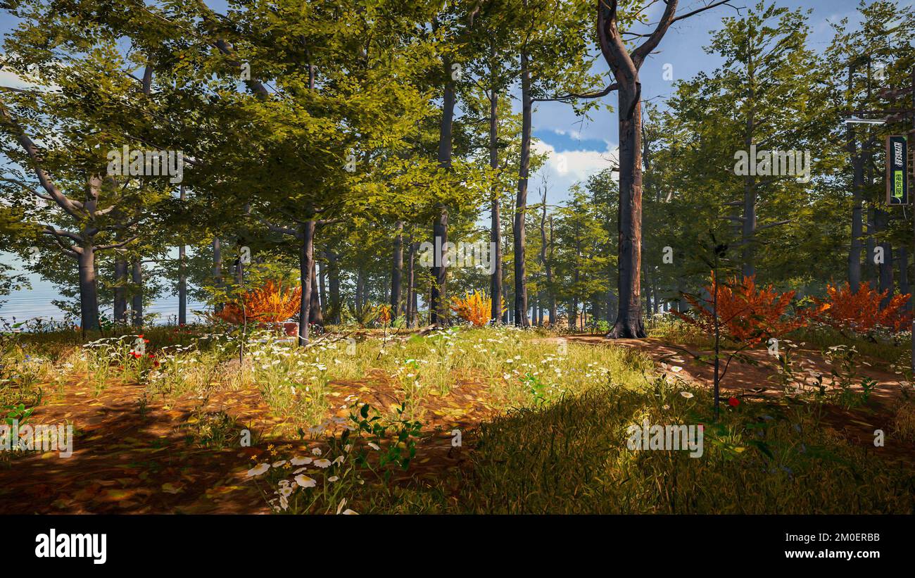 3D rendering. An immersive natural environment. Landscape to illustrate ...