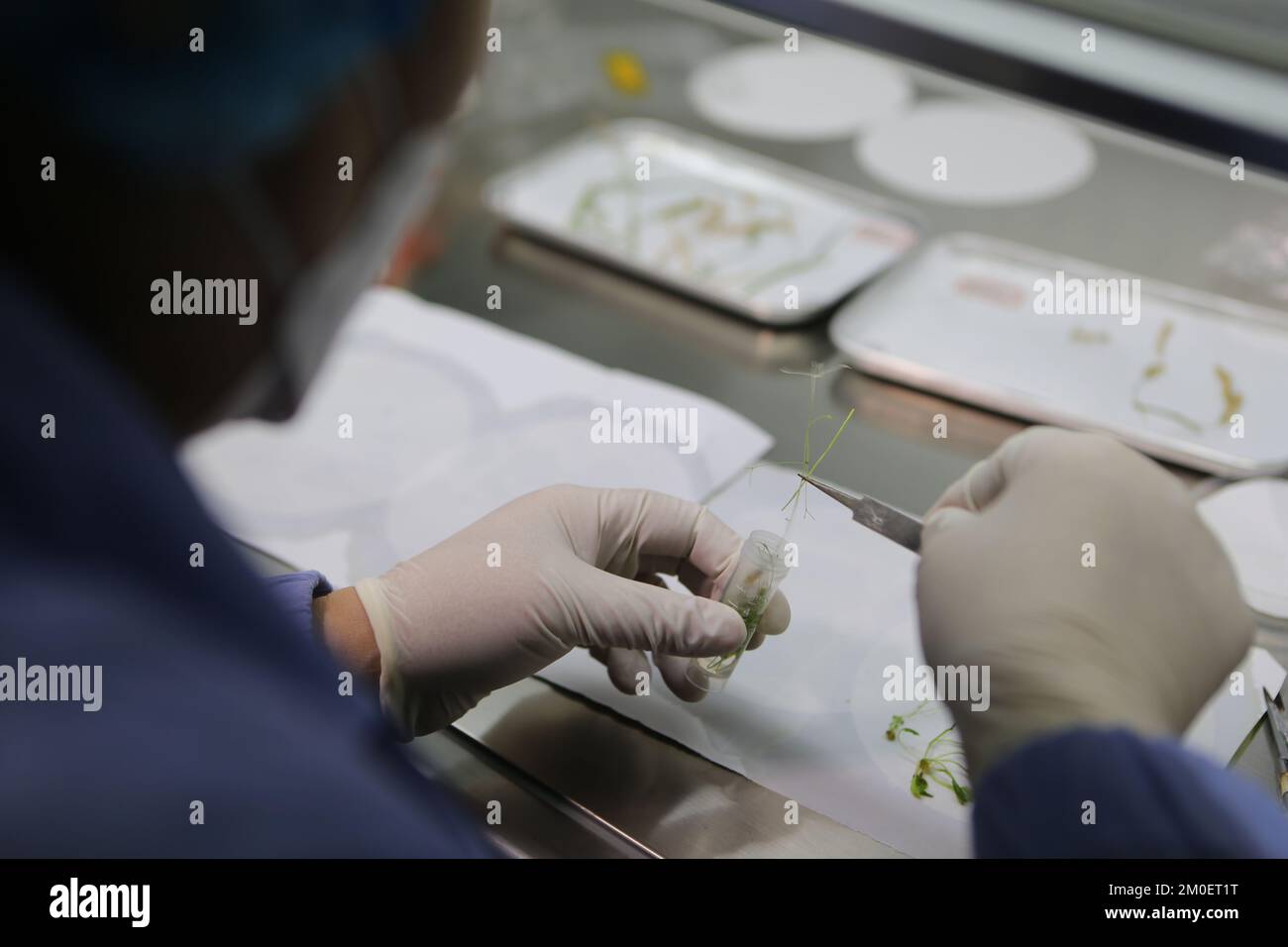 (221206) -- BEIJING, Dec. 6, 2022 (Xinhua) -- A researcher processes ...